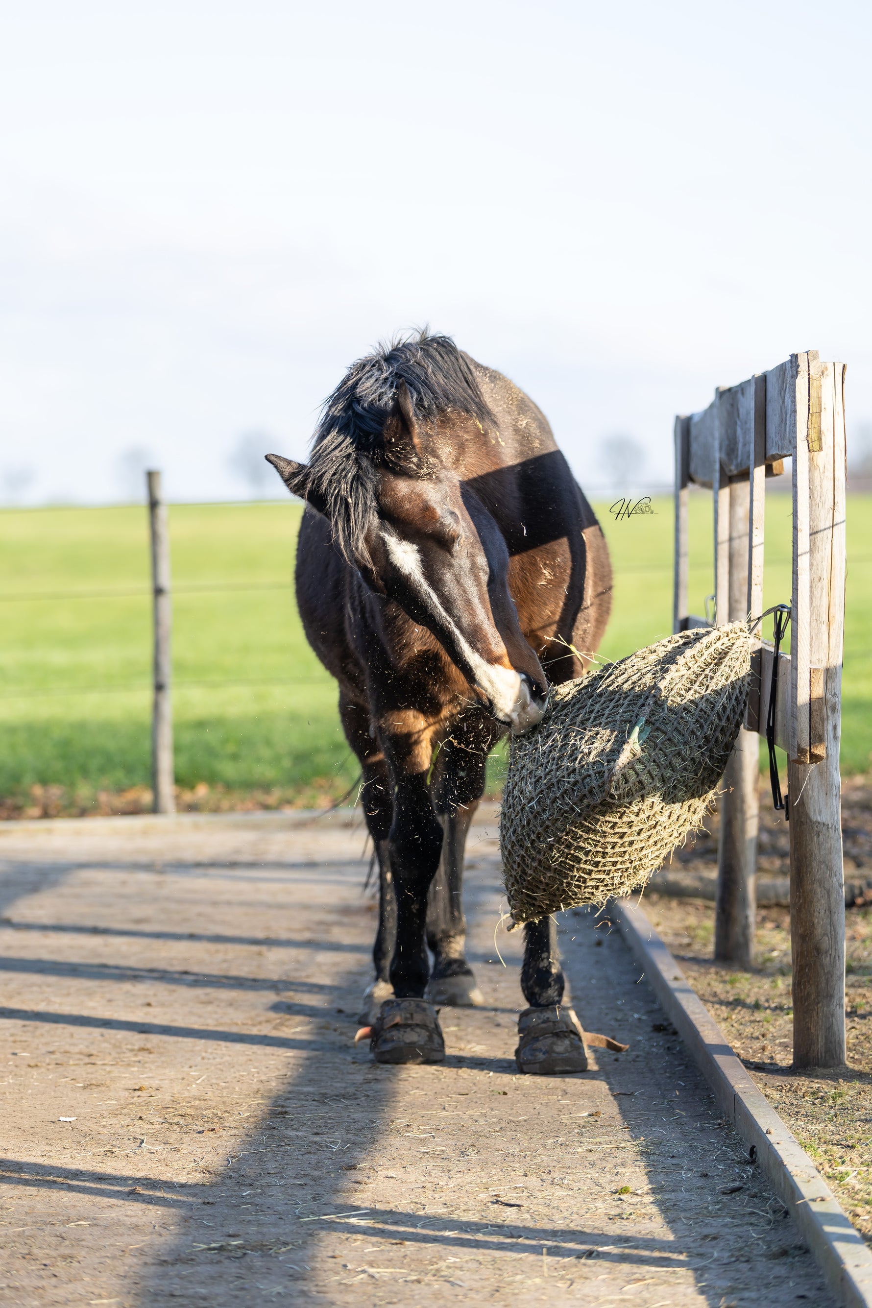 Natuurlijk Paardenverblijf | producten voor het welzijn van je paard