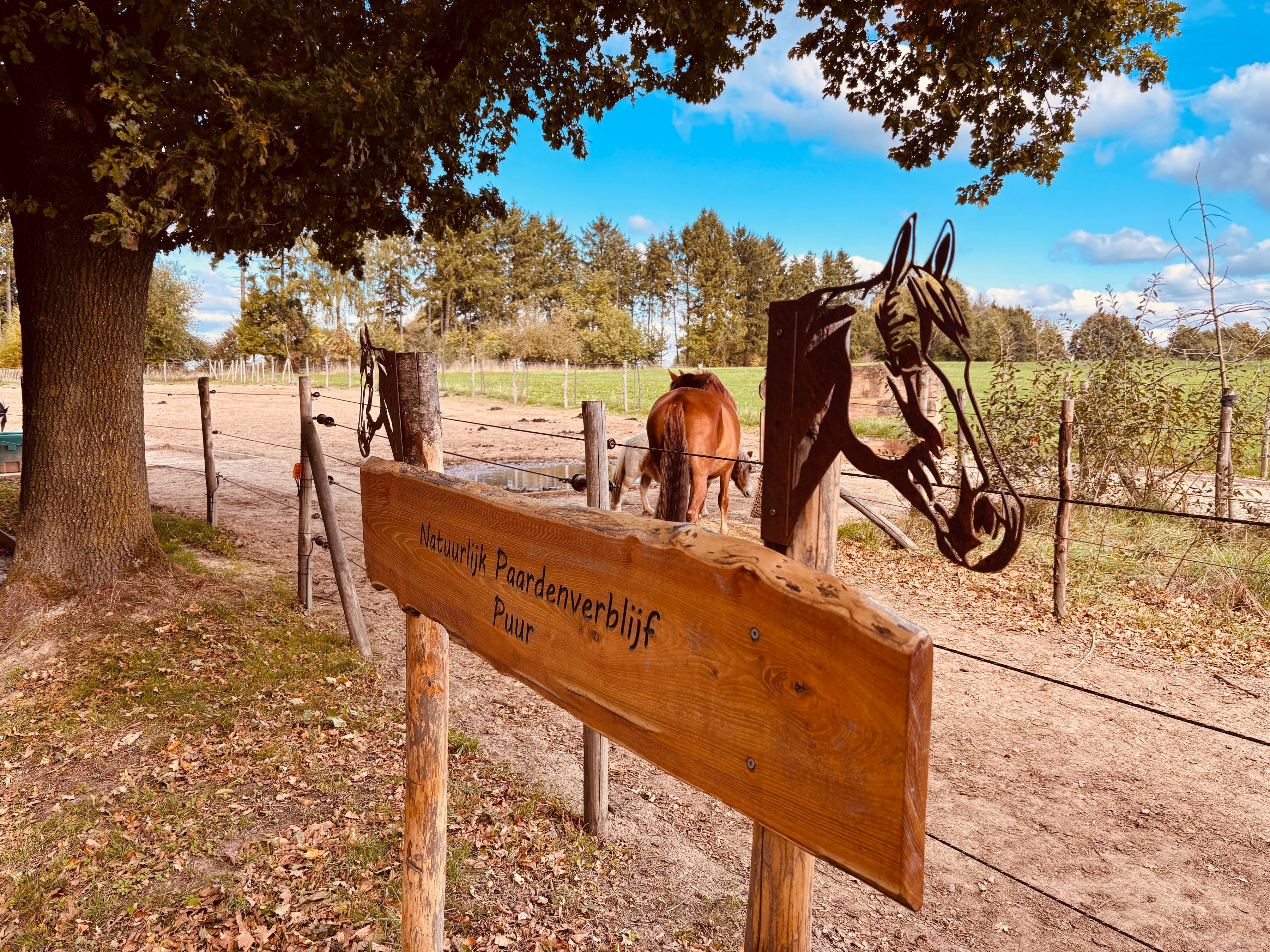 Natuurlijk Paardenverblijf | producten voor het welzijn van je paard